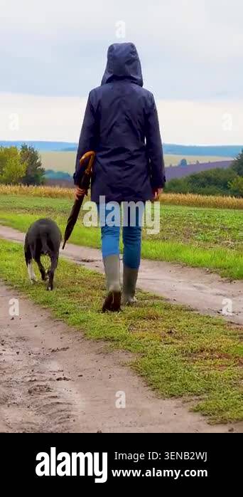 A woman walks her dog in a field after a thunderstorm. Girl with ...