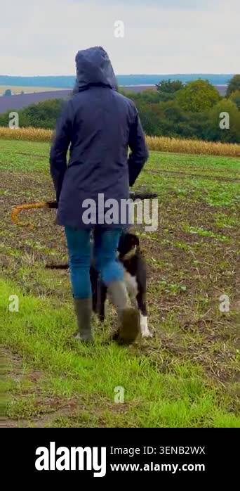 A woman walks her dog in a field after a thunderstorm. Girl with ...