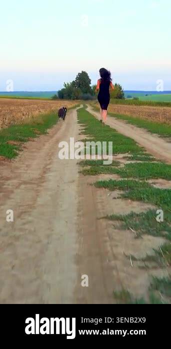 A beautiful young woman walks with a Staffordshire Terrier in a field ...