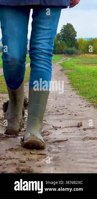 A woman walks her dog in a field after a thunderstorm. Girl with ...