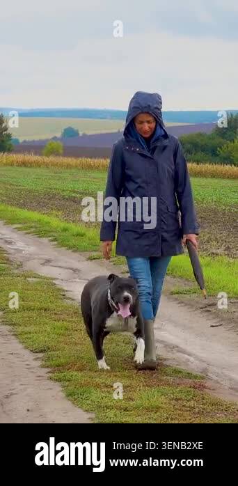 A woman walks her dog in a field after a thunderstorm. Girl with ...