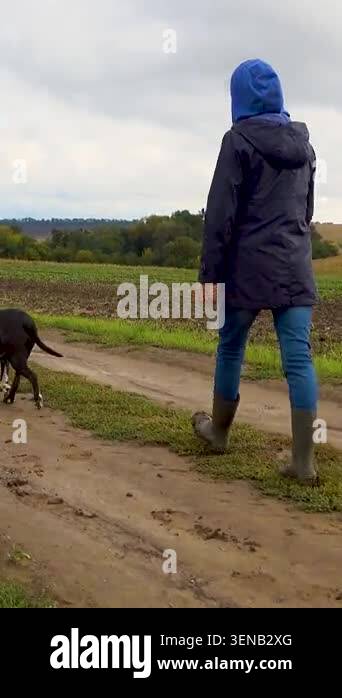 A woman walks her dog in a field after a thunderstorm. Girl with ...
