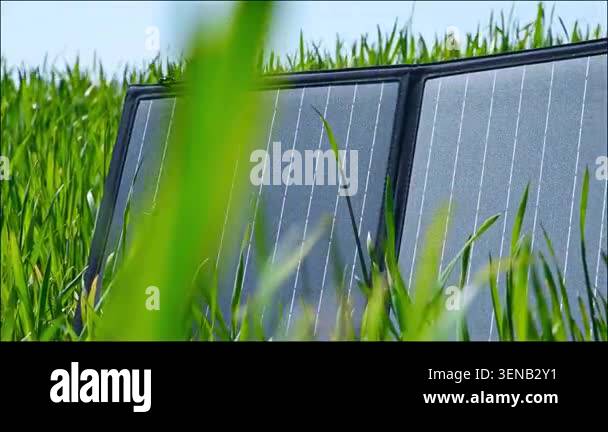 Portable solar panel standing in green grass field outdoors, video of ...