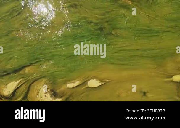 An aerial top-down view shows clear turquoise water with visible ...