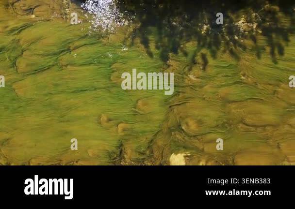 An overhead drone shot shows clear, shallow water flowing over a rocky ...