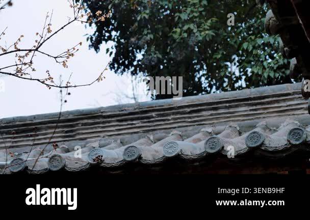 Close-up footage of roof tiles on the eaves of ancient buildings Stock ...