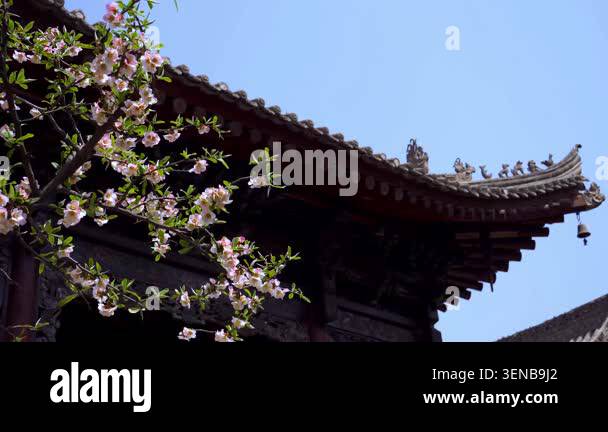 Close-up footage of roof tiles on the eaves of ancient buildings Stock ...