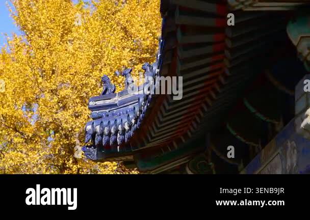 Close-up footage of roof tiles on the eaves of ancient buildings Stock ...