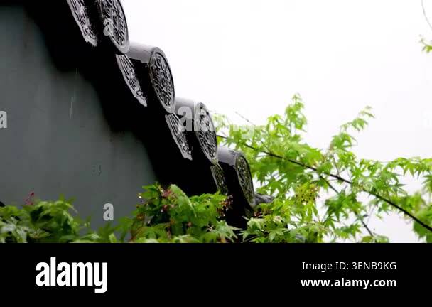 Close-up of raindrops sliding down the roof tiles of an ancient ...