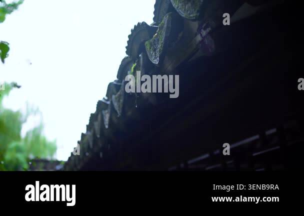 Close-up of raindrops sliding down the roof tiles of an ancient ...