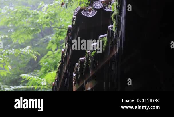 Close-up of raindrops sliding down the roof tiles of an ancient ...