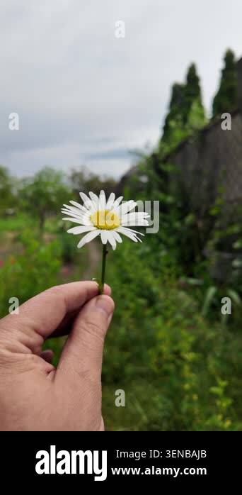 This high-quality slow-motion footage shows a close-up of a person's ...
