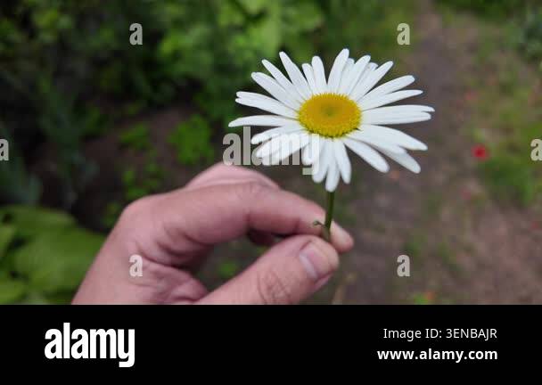 This high-quality slow-motion footage shows a close-up of a person's ...