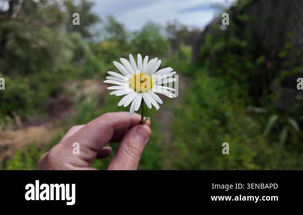 This high-quality slow-motion footage shows a close-up of a person's ...