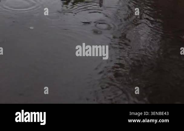 Raindrops falling into puddle creating circles on the surface as ...