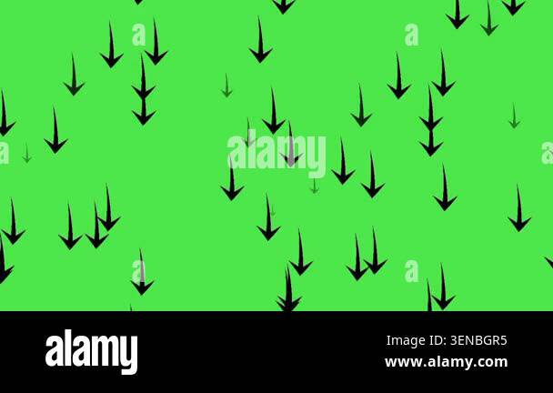 Black arrows moving down isolated on green screen background Stock ...