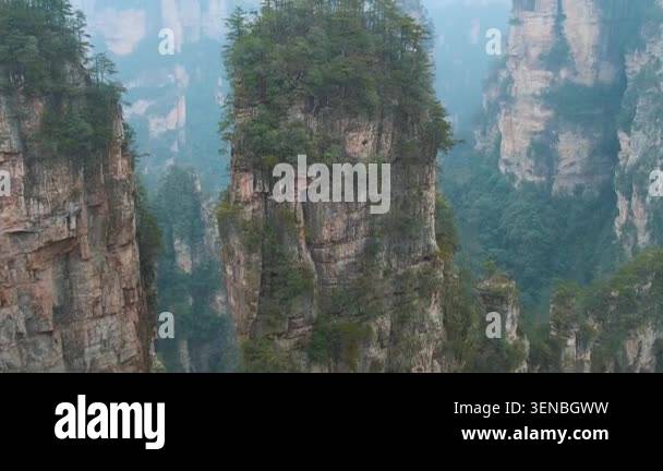 Mountain sandstone pillar with pine trees rising above misty forested ...