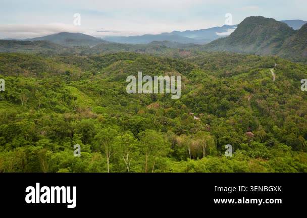 Aerial Drone Panoramic View of Tropical Rainforest Valley With Karst ...
