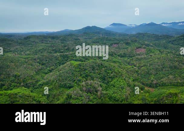 Aerial Wide View of Tropical Rainforest Covering Rolling Hills With ...