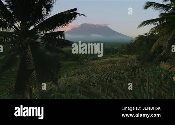 Aerial evening view of Sacred Mount Agung Volcano with rice field and ...