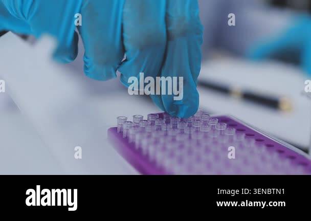 scientist in blue gloves holds a test tube in the laboratory Stock ...