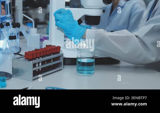 scientist doing research in a laboratory Stock Video Footage - Alamy