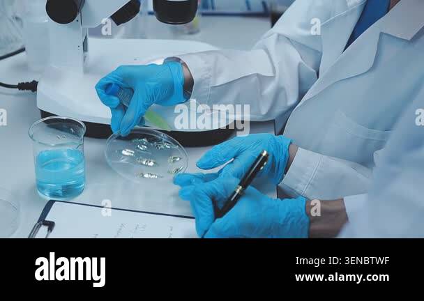 scientists working in laboratory. laboratory research and science ...