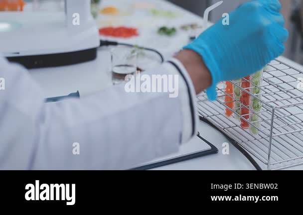 scientist examining food in laboratory Stock Video Footage - Alamy