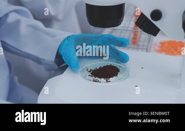 scientist in laboratory. close up Stock Video Footage - Alamy