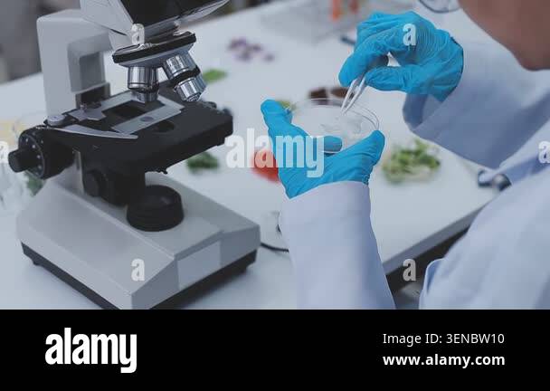 young scientist working in laboratory Stock Video Footage - Alamy