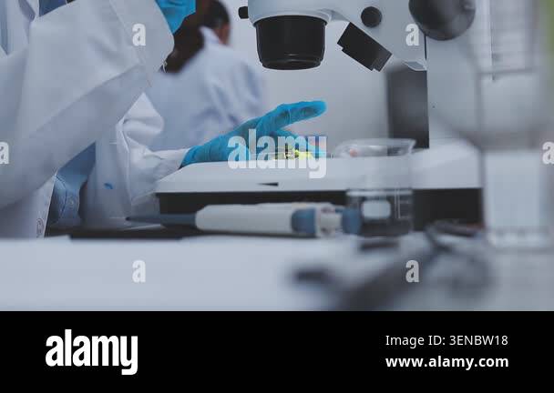 close up view of scientist working at laboratory Stock Video Footage ...