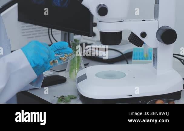 close up view of scientist working in laboratory. laboratory equipment ...