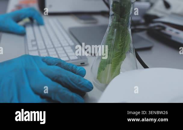 scientist holding a test tubes with a liquid in his hand Stock Video ...