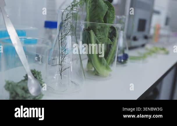 laboratory glass with fresh vegetables Stock Video Footage - Alamy