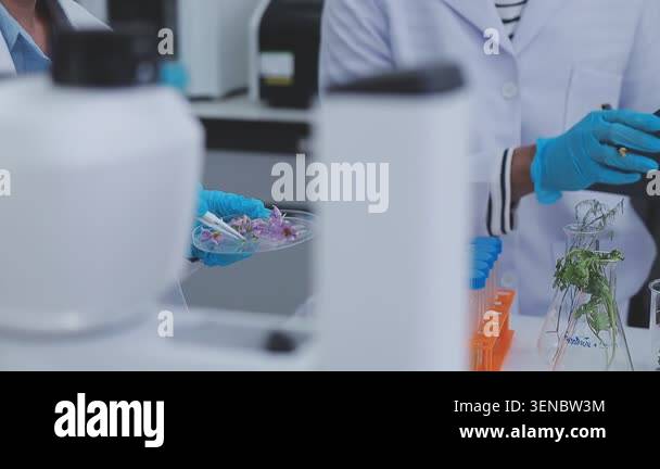 scientist holding a glass tube with a liquid Stock Video Footage - Alamy