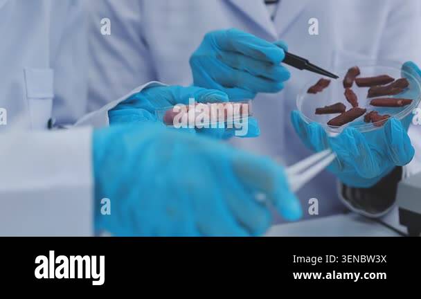 scientist in protective gloves and gloves holding glass with sample of ...