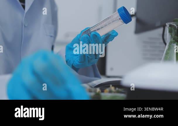 close - up of scientist working at a laboratory Stock Video Footage - Alamy