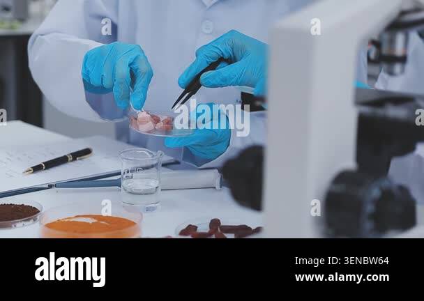 scientist holding a microscope with a tube and a sample Stock Video ...