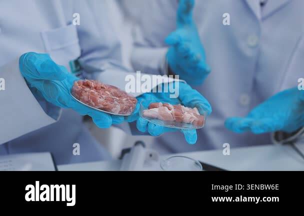 close up of human hands with blood samples in lab Stock Video Footage ...