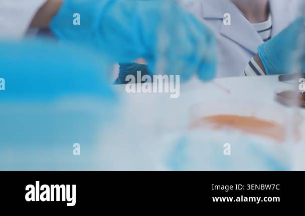 scientist holding glass tube with sample in liquid laboratory Stock ...