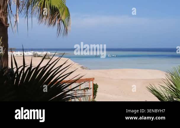 Beautiful tropical beach resort in marsa alam, egypt, with golden sand ...