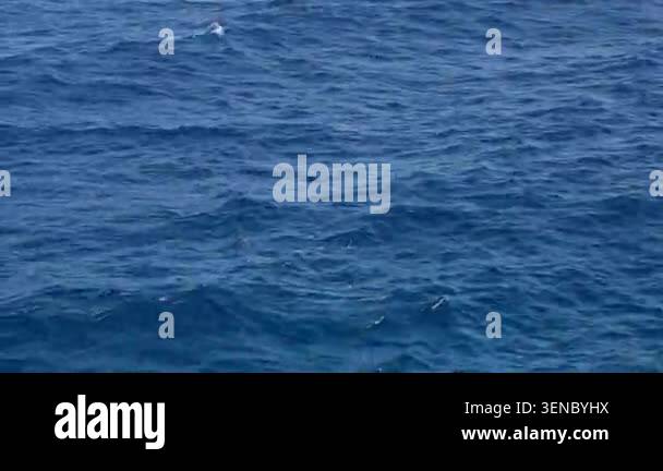 Calm, deep blue ocean surface with gentle waves moving peacefully under ...