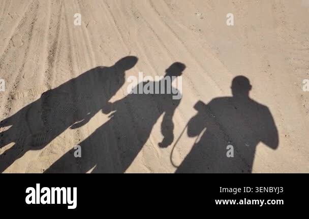 Shadows of three men walking on a sandy desert road in marsa alam ...