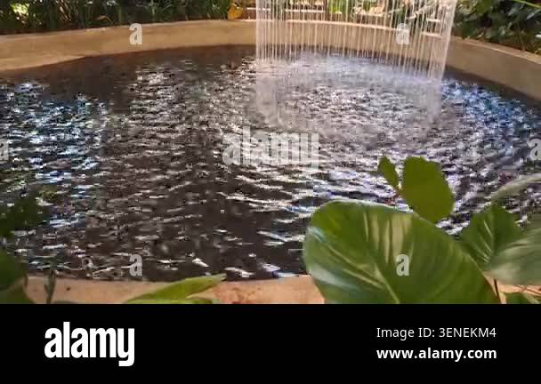 A wide shot of a circular garden pond with a center water fountain ...
