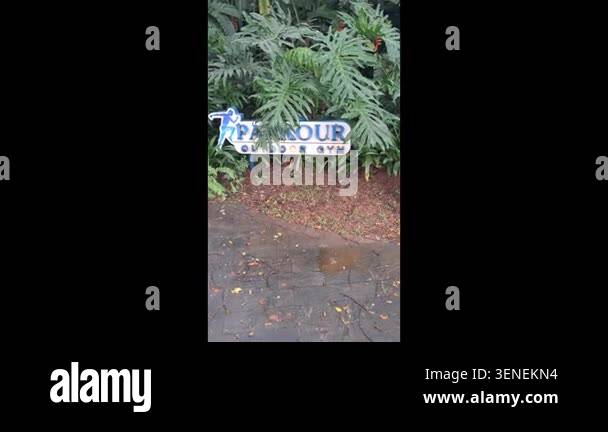 A vertical shot of various green plants and ferns in a garden during a ...