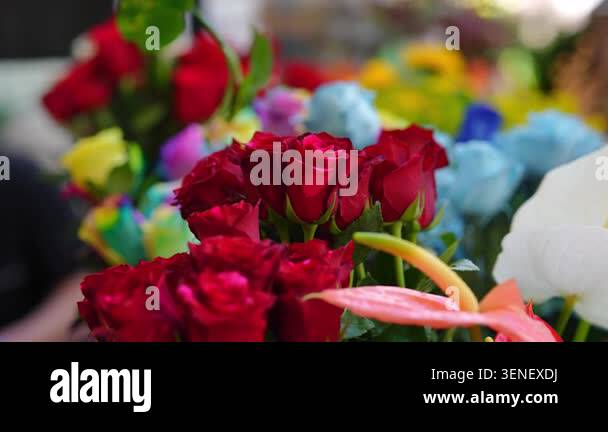 Red roses standing out in a vibrant arrangement of colorful flowers ...