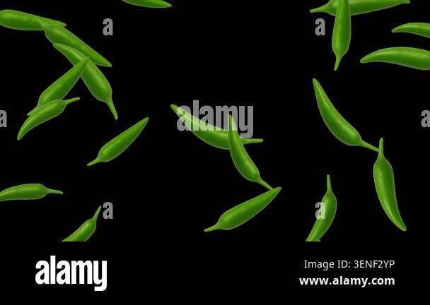 Falling fresh green chilies motion graphics with plain black background ...