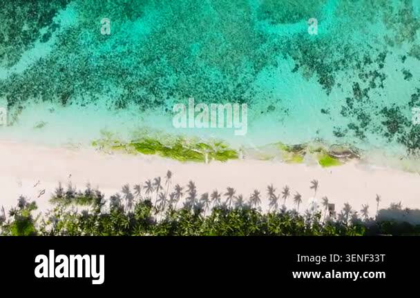 White sand and coconut trees in Puka Shell Beach. Clear turquoise ...
