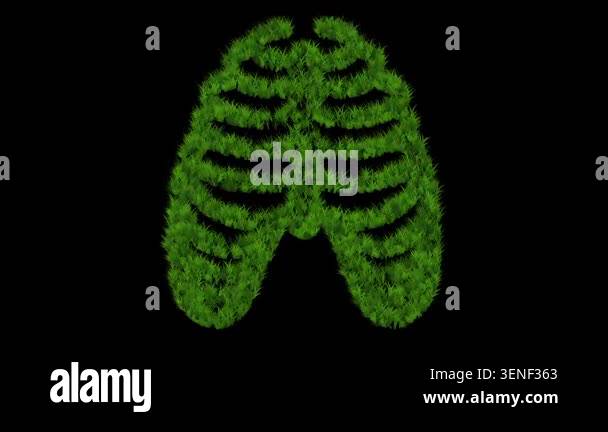 Human ribcage symbol with green grass effect on plain black background ...