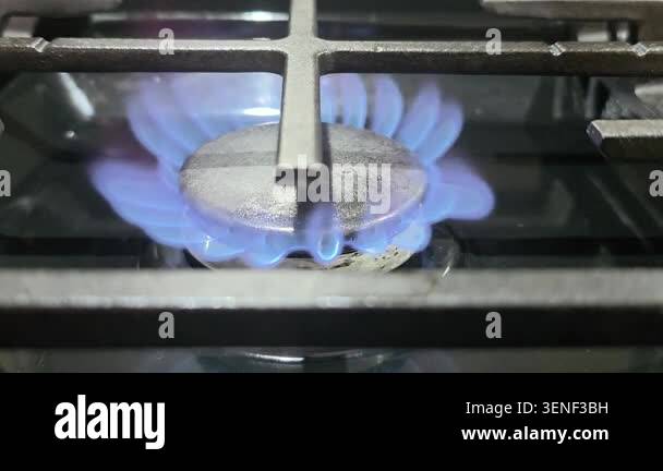 Natural Gas Stove Burner with Blue Flame in Modern Kitchen Close Up ...